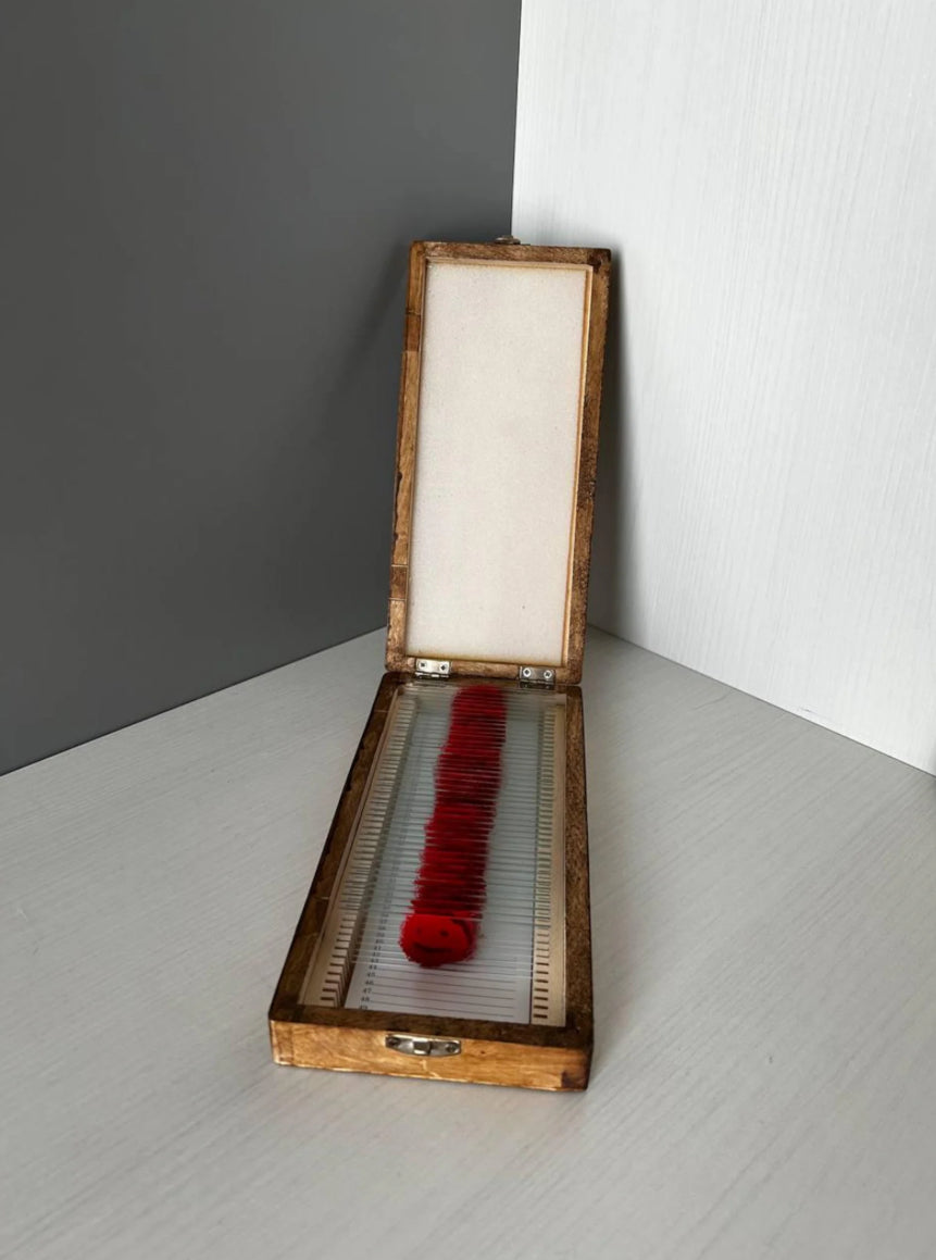 Blood Slide Box – DexterLabs